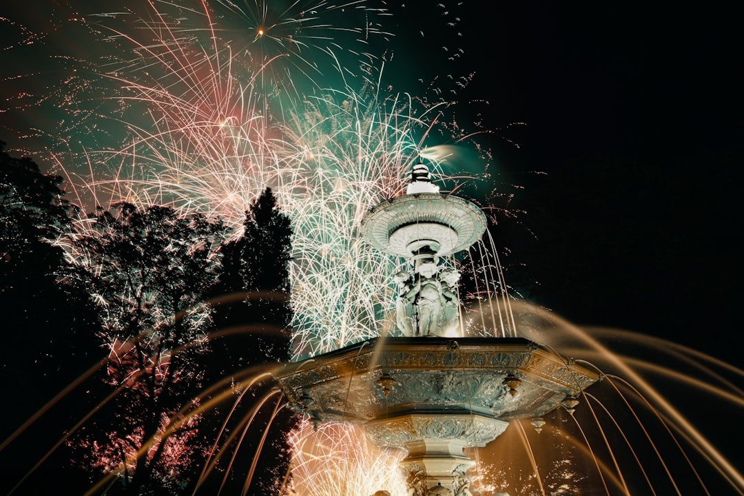 Tout savoir sur la blette : culture, recettes et bienfaits ...